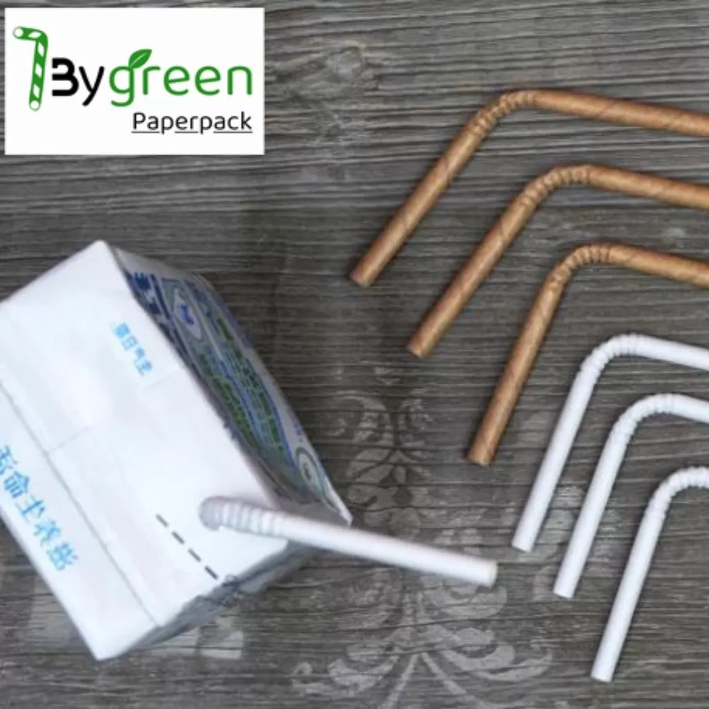 Bygreen Paperpack | Best Paper Straw Manufacturer in India
